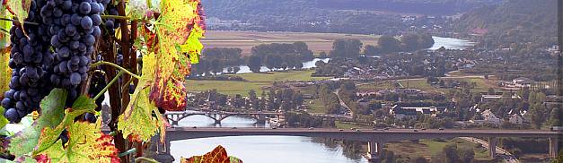 Hotel Grefen in Schweich